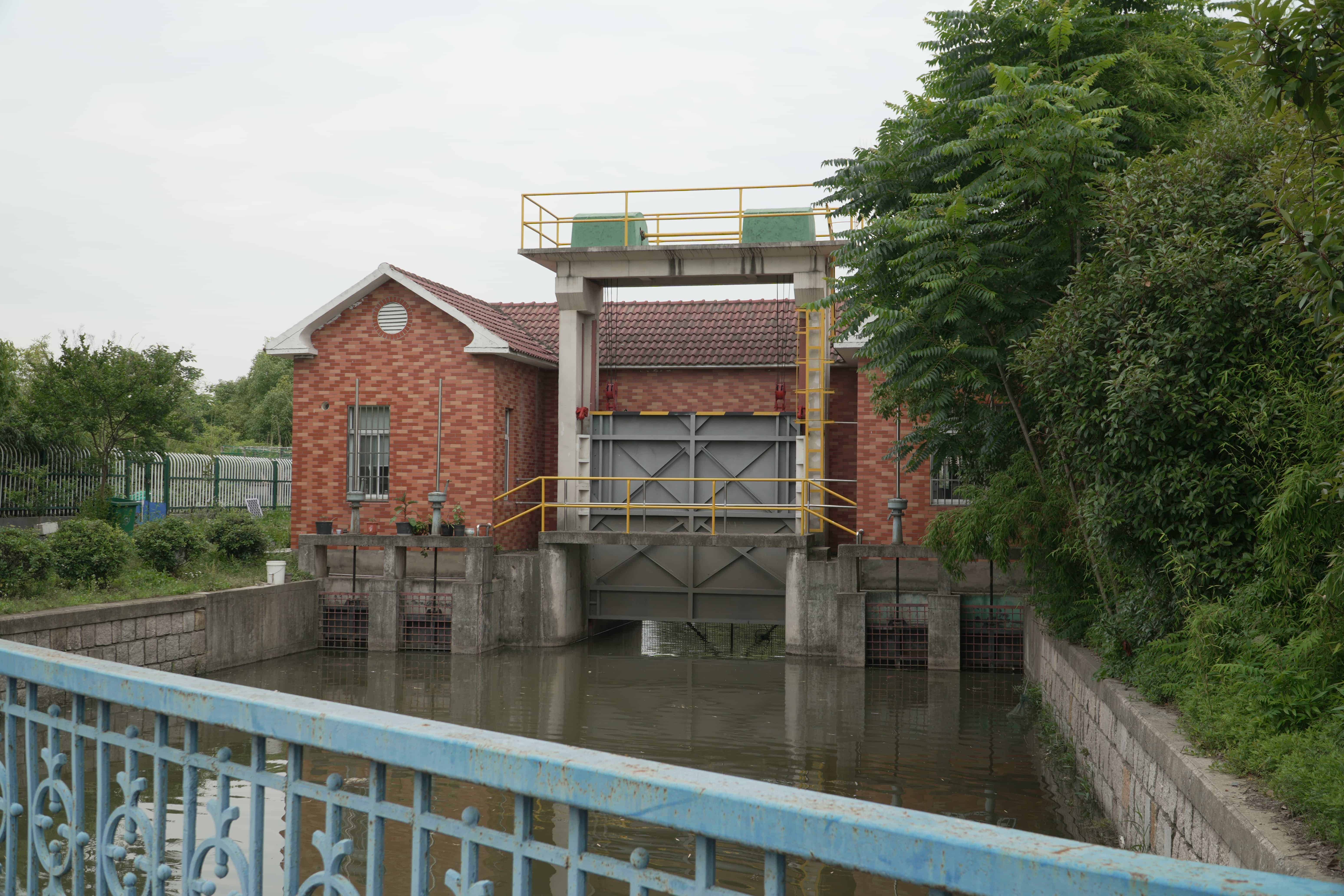 RMUA上海行 | Danweijungu